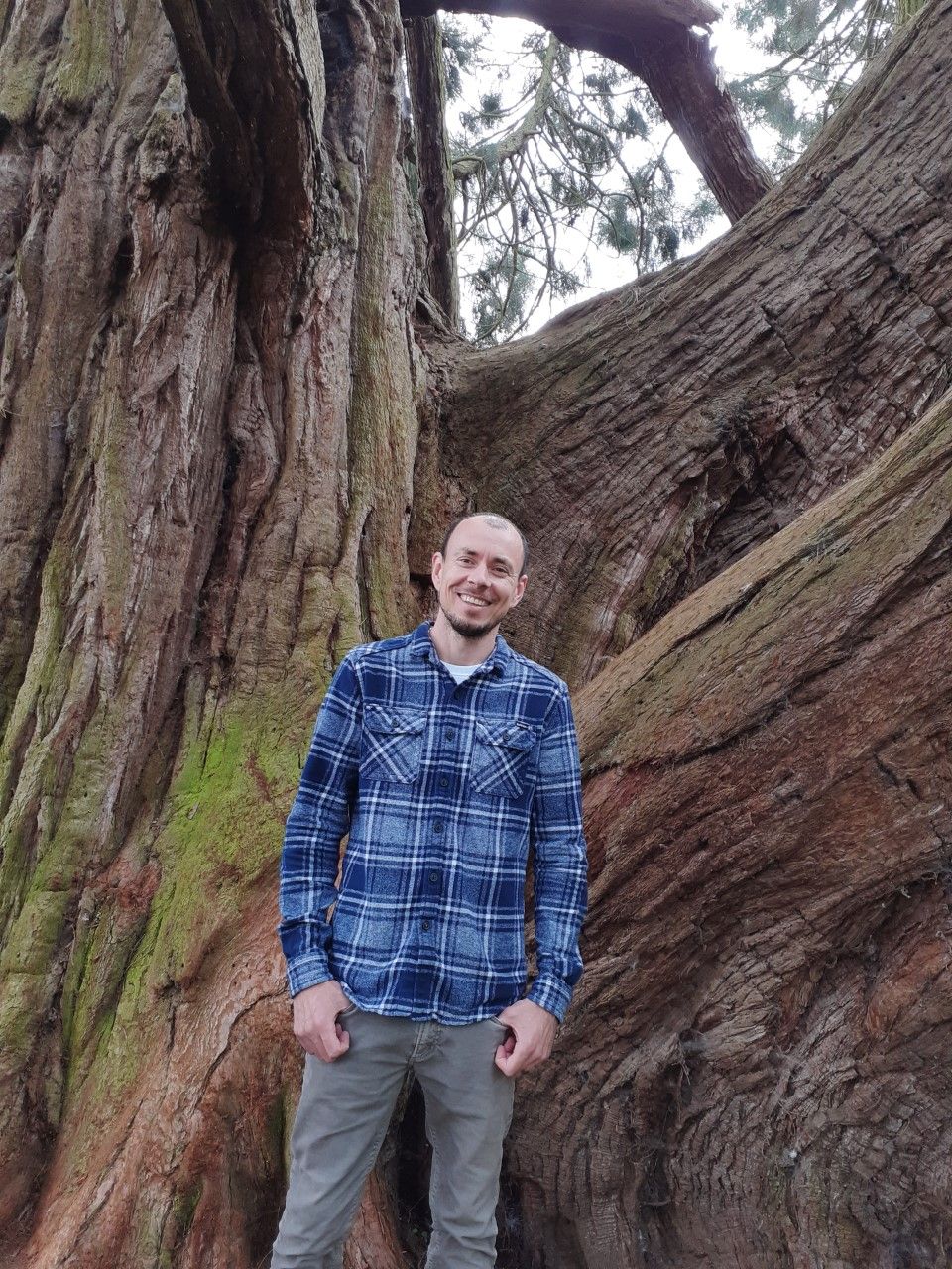 Simon Steven | Collider