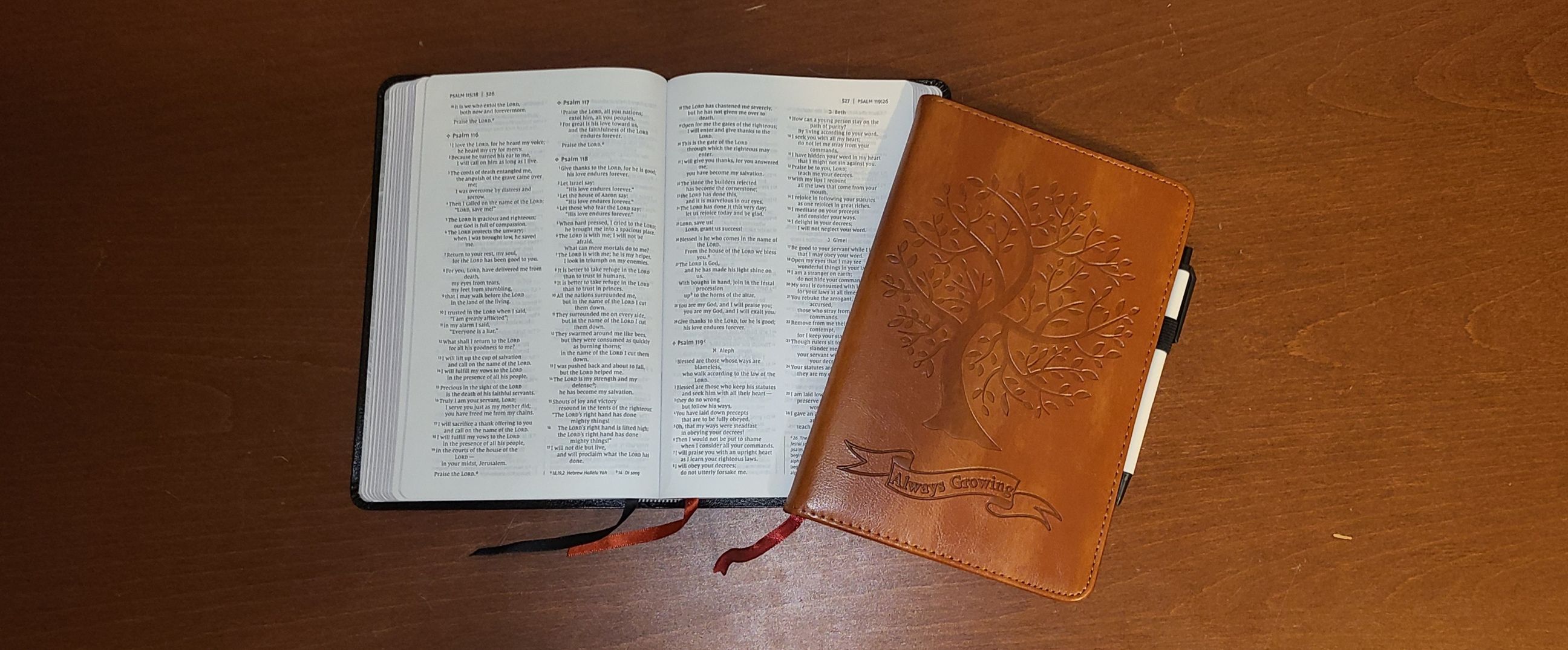 Adam Lowe | Collider