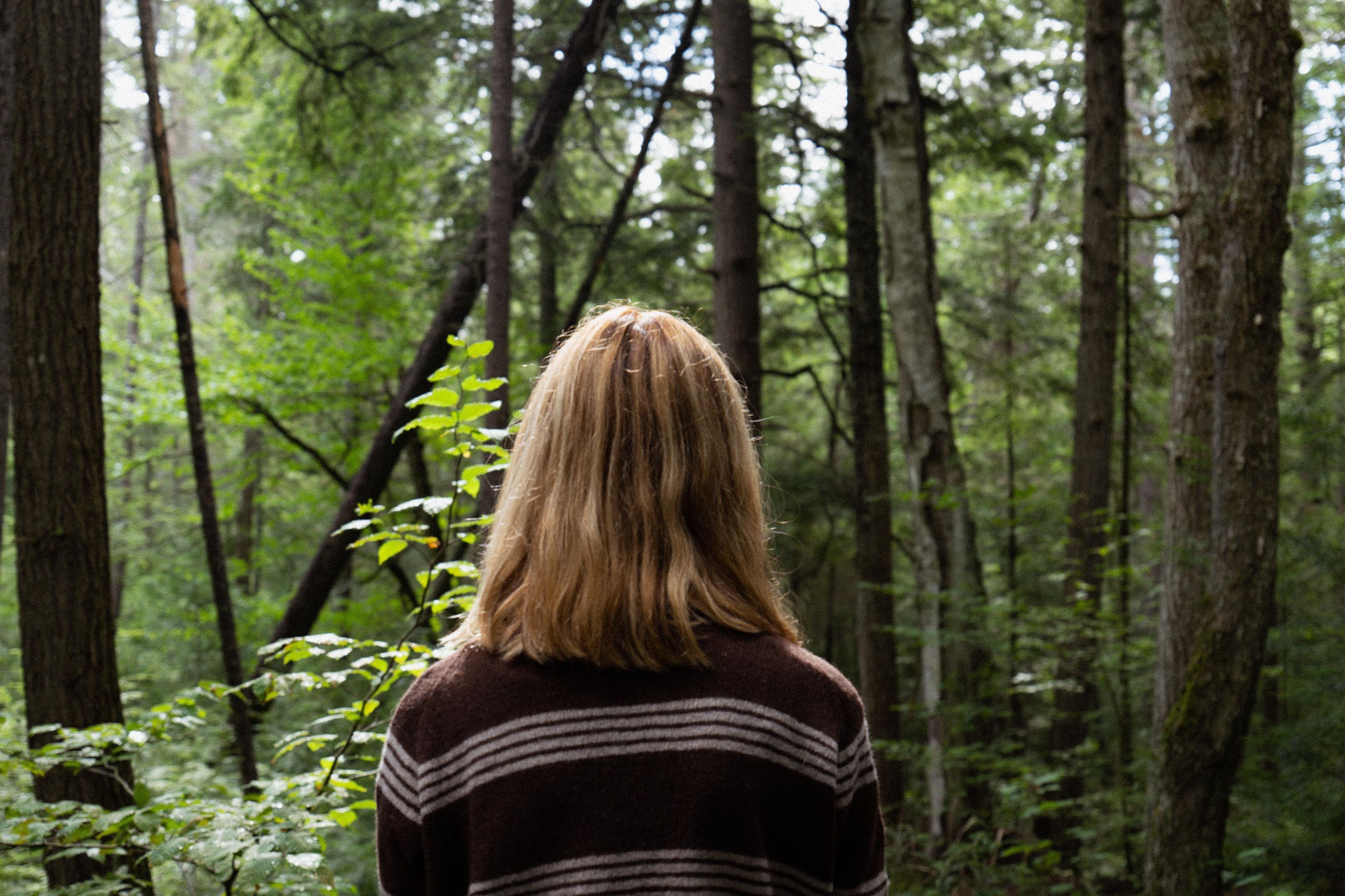 S.K. Sapiano | Collider