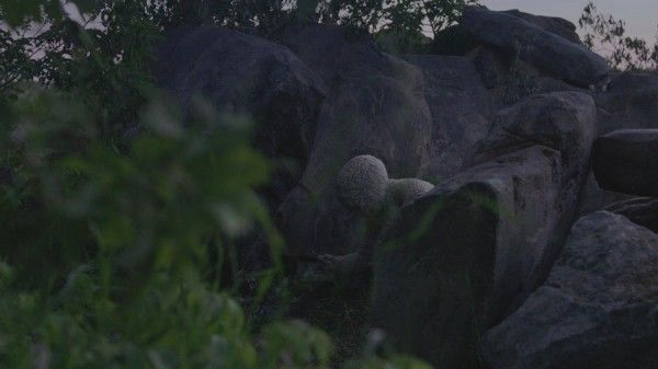 Channel Zero Creator Nick Antosca on the Show's Future