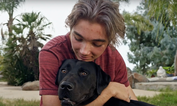 Disney Plus Pick of the Litter Review: A Sincere, Insightful Look at a ...