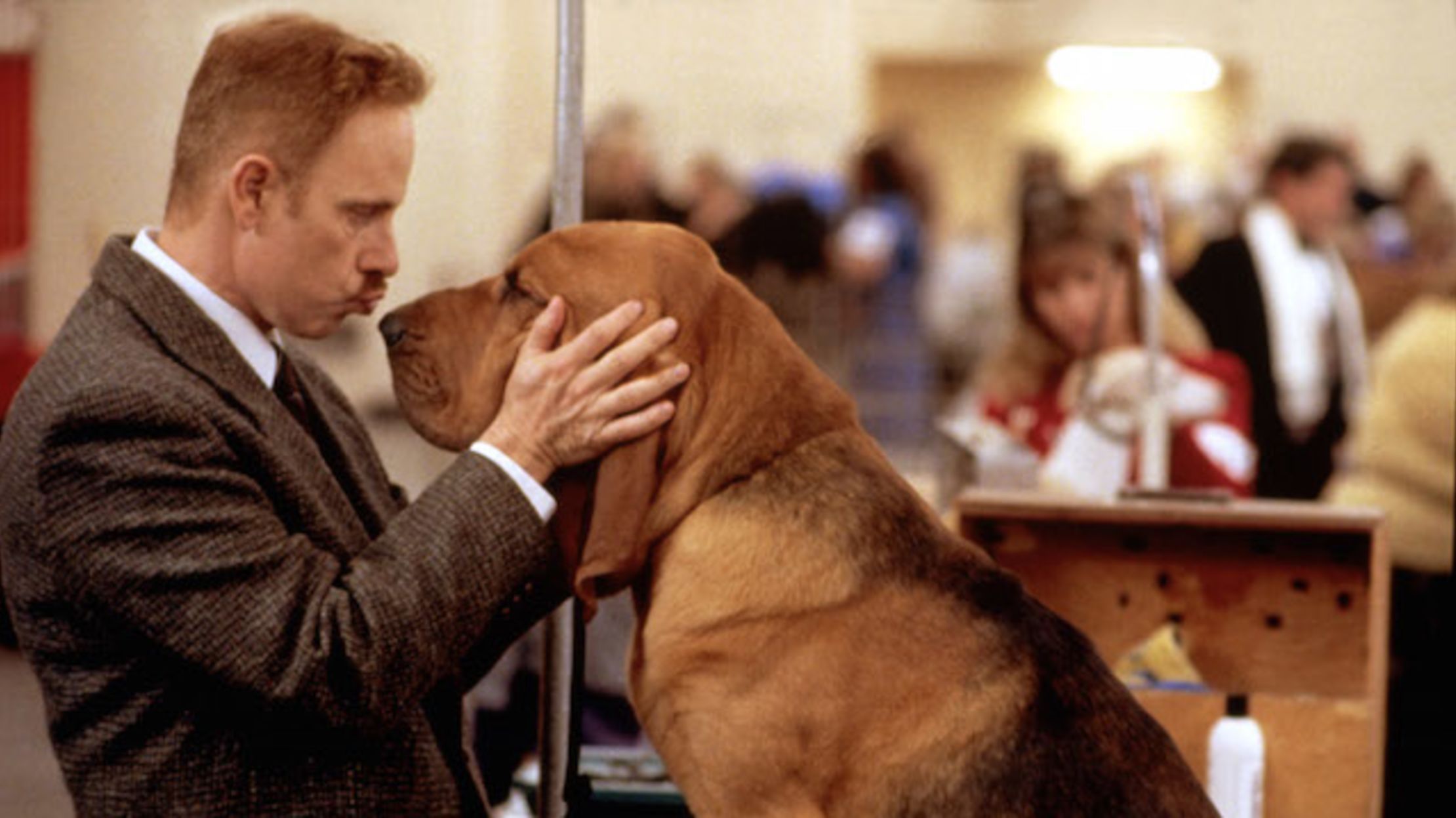 The Best and Funniest Comedies on Movies Anywhere That Are Screen Pass ...