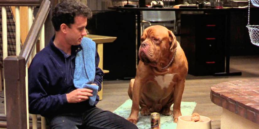 25 Sad Movies That Will Make Want to Hug Your Dog