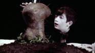 Best David Lynch Short Films And How To Watch Them
