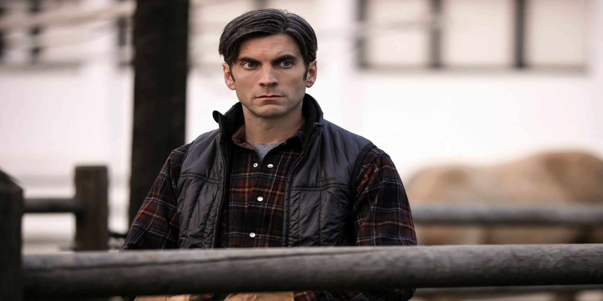 'Yellowstone' Characters Sorted into their Hogwarts Houses