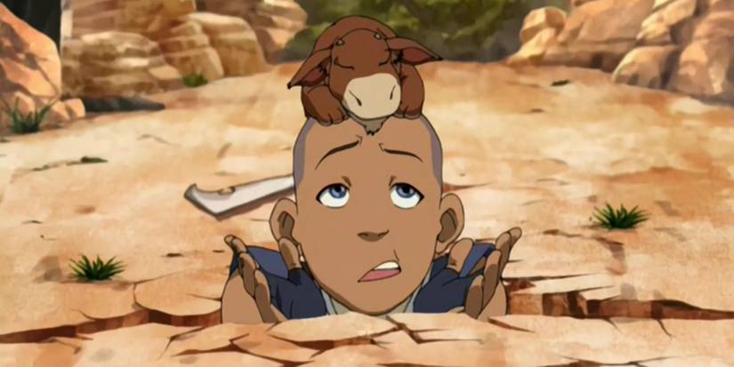 Avatar: The Last Airbender: Why Sokka and Suki's Romance Is Most Wholesome