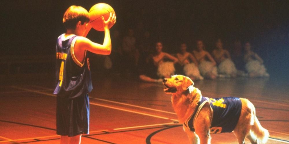 10 Movies That'll Make You Closer to Your Dogs