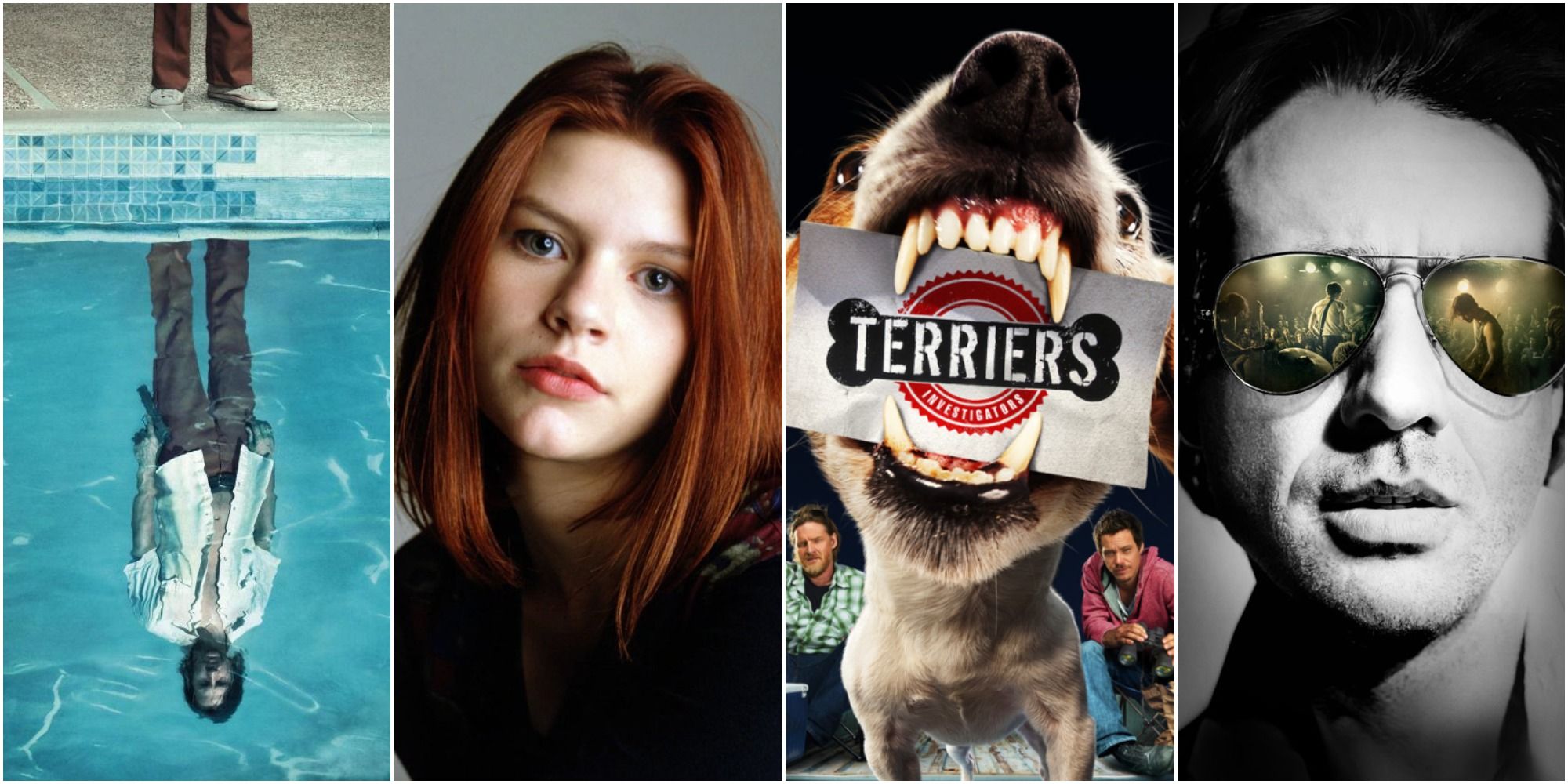 Terriers Tv Series