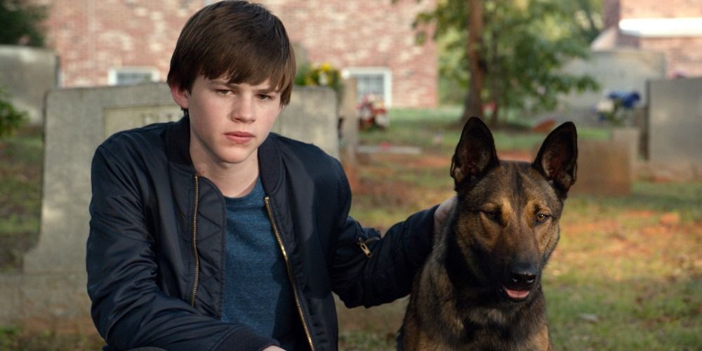 10 Movies That'll Make You Closer to Your Dogs