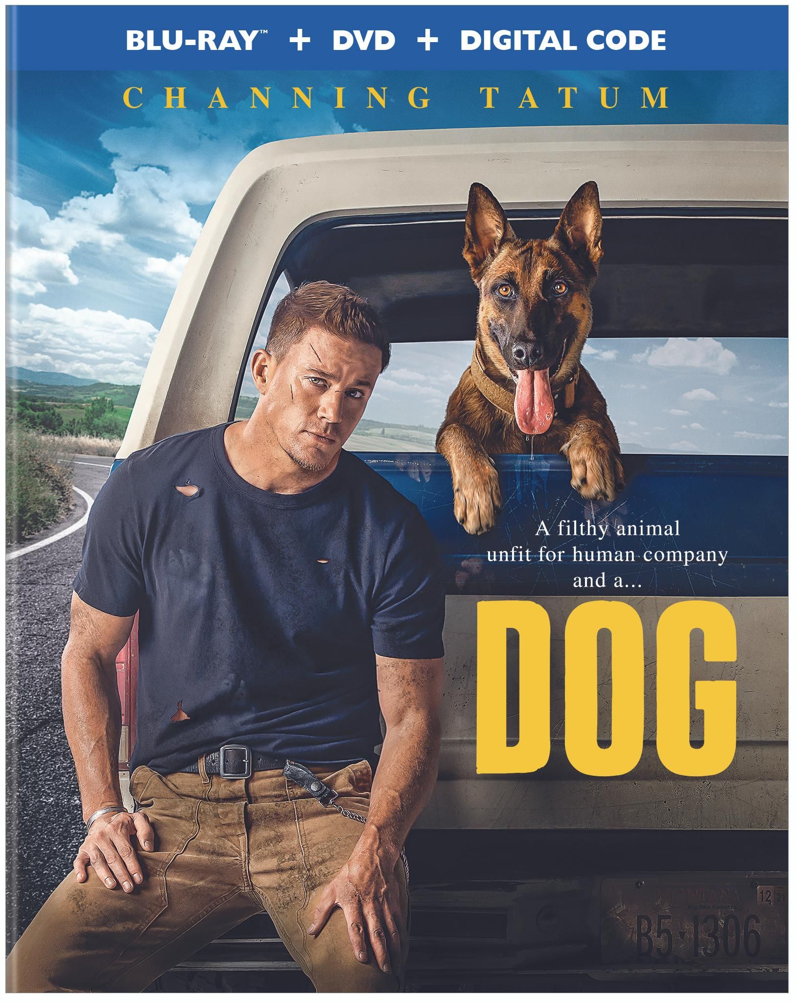Dog Starring Channing Tatum Gets Digital, Blu-ray, and DVD Release Dates