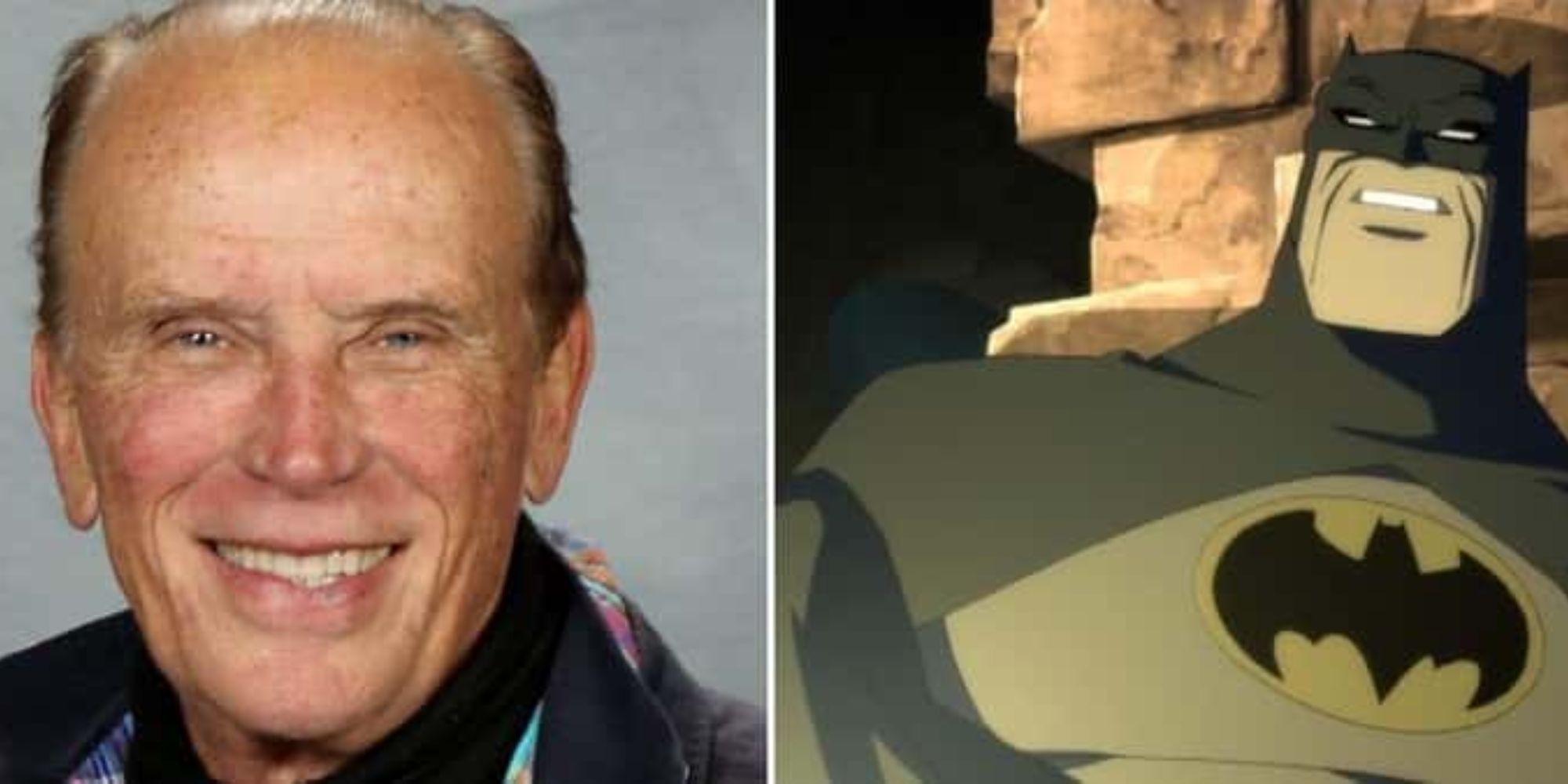 The Dark Knight, Animated: Batman's Voice Actors, Ranked