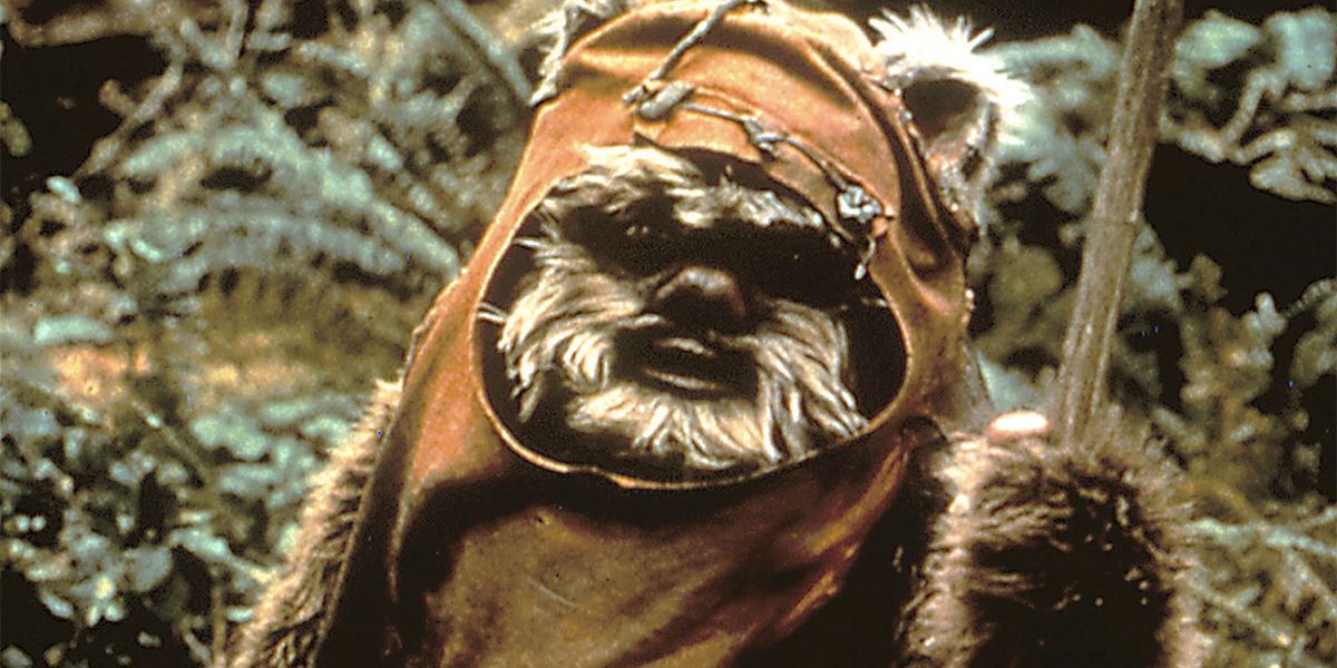 Star Wars Hidden Gems From the Holiday Special to Robot Chicken