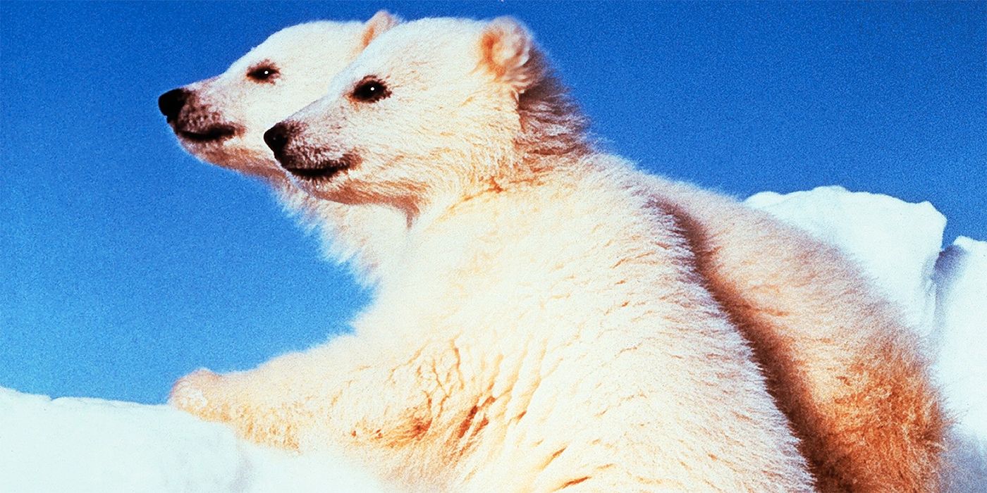 Disney's True-Life Adventures Series Explained