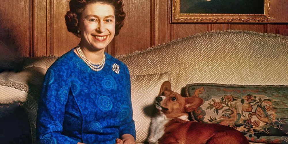 9 Celebrity Pets That Are Too Cute For This World