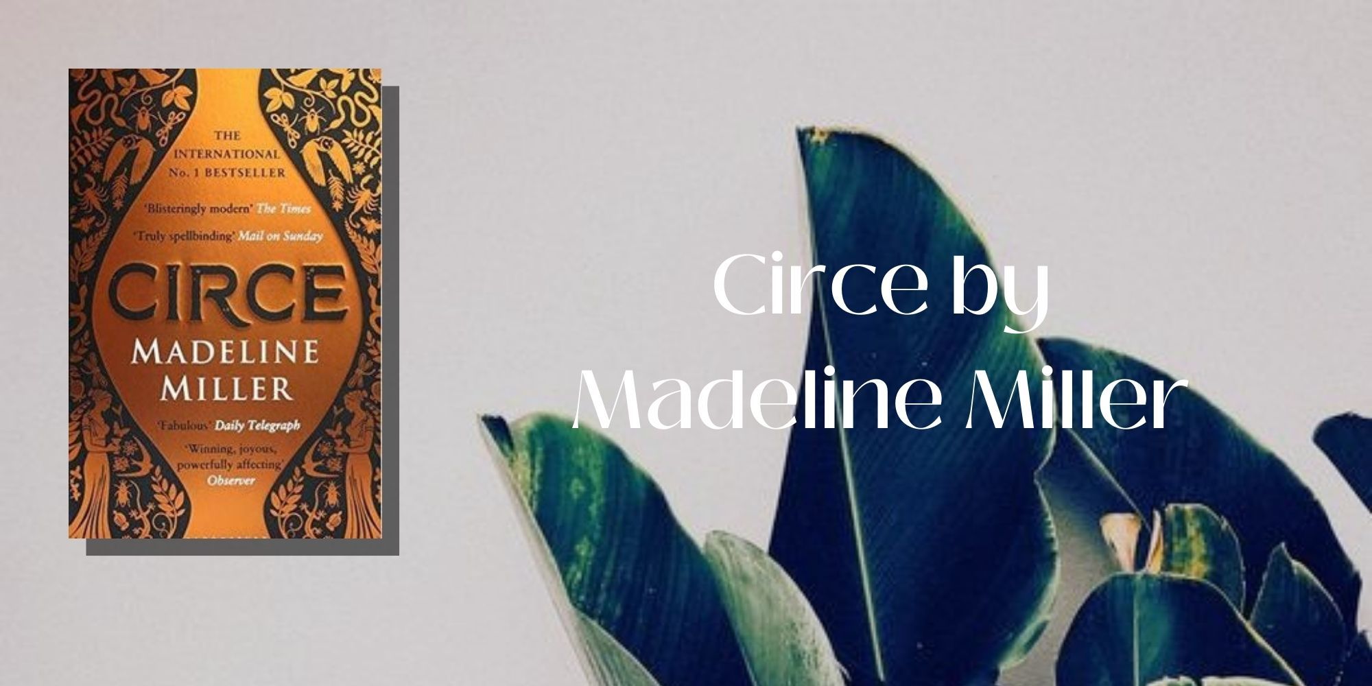 10 Best "Couldn't Put Down" Books To Get Out Of A Reading Slump