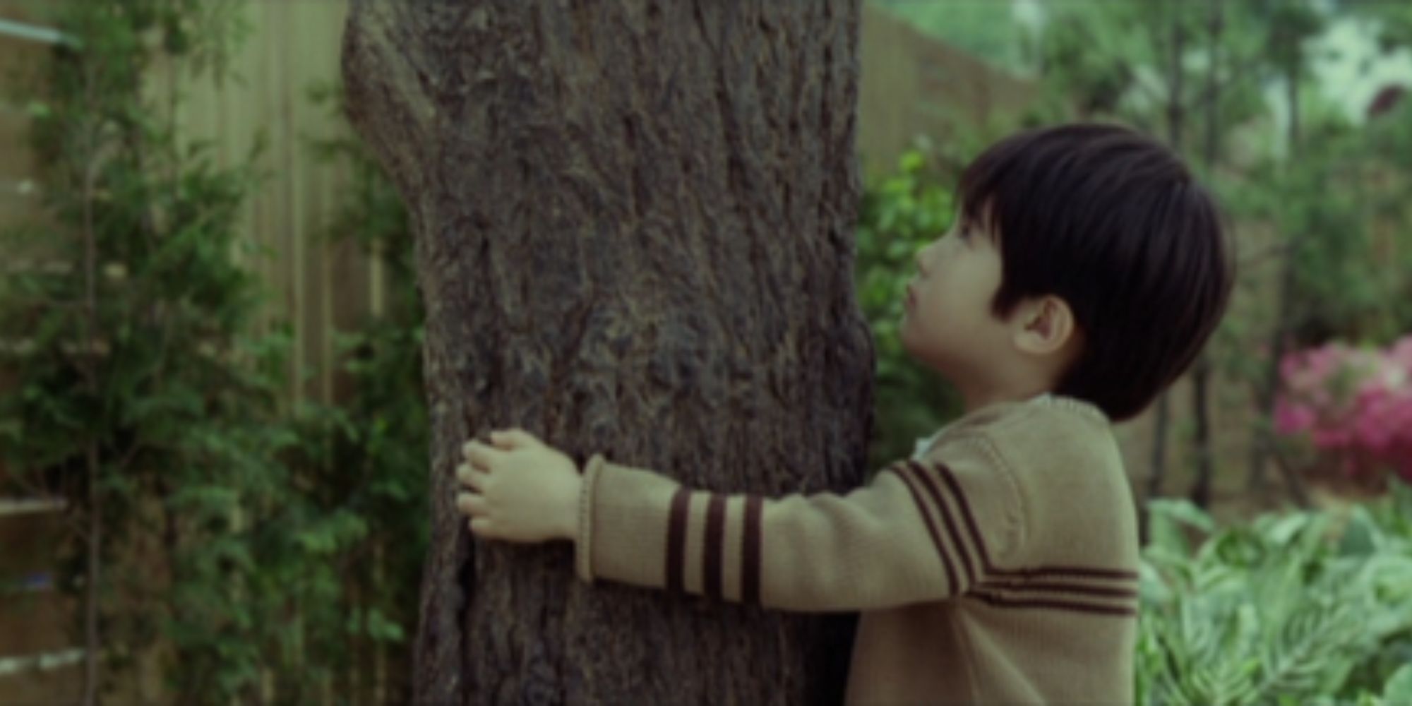 20 Best South Korean Horror Movies, Ranked