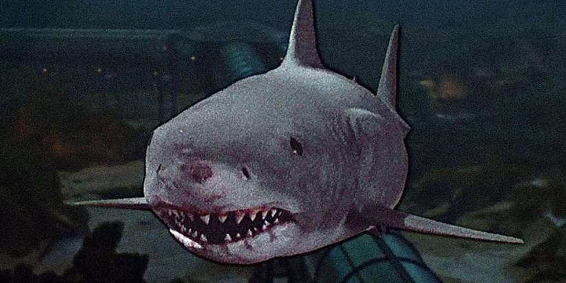 All 4 'Jaws' Movies, Ranked From Worst to Best