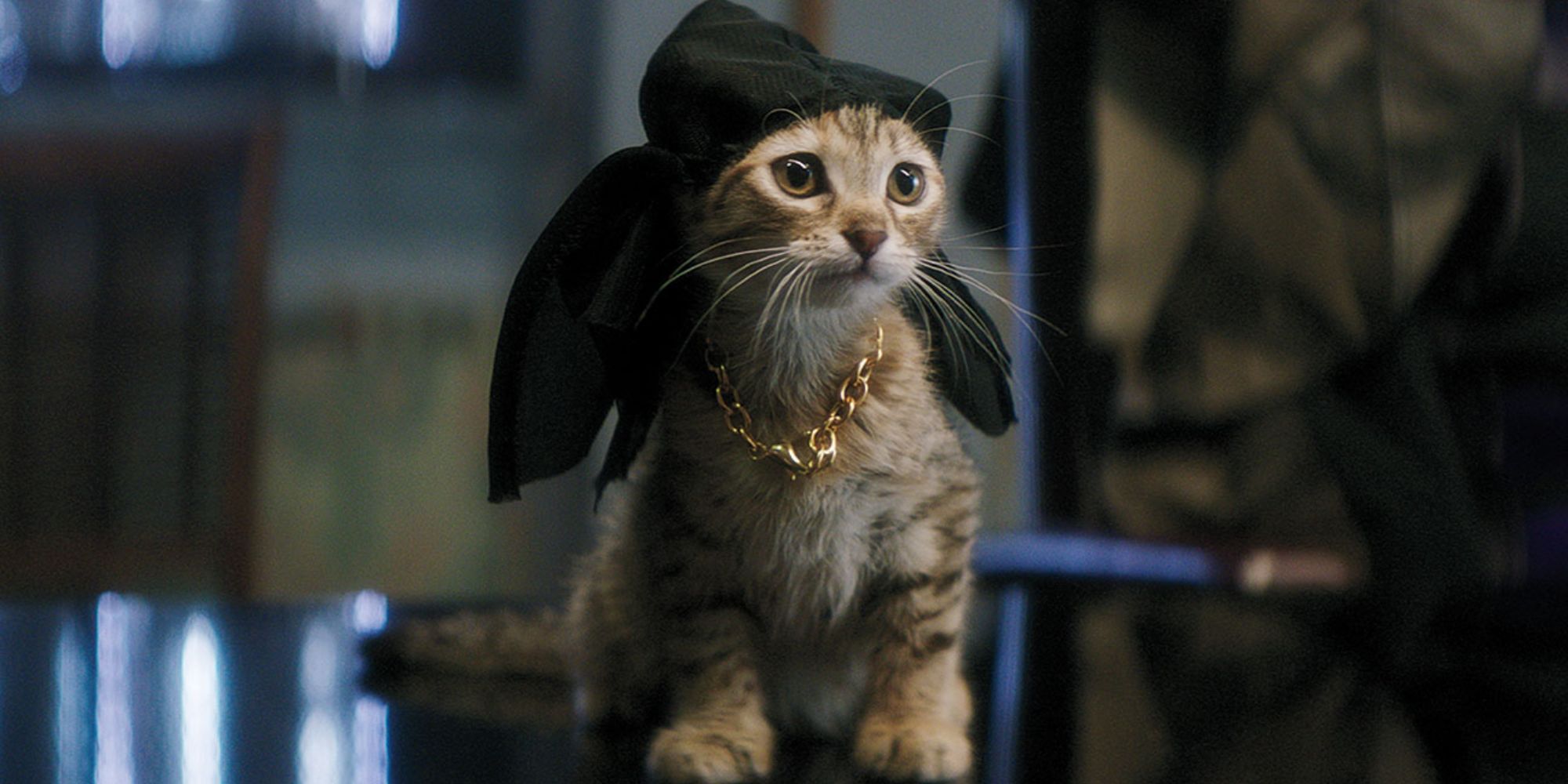 10 Best Movie Cats, From Goose to Mrs. Norris