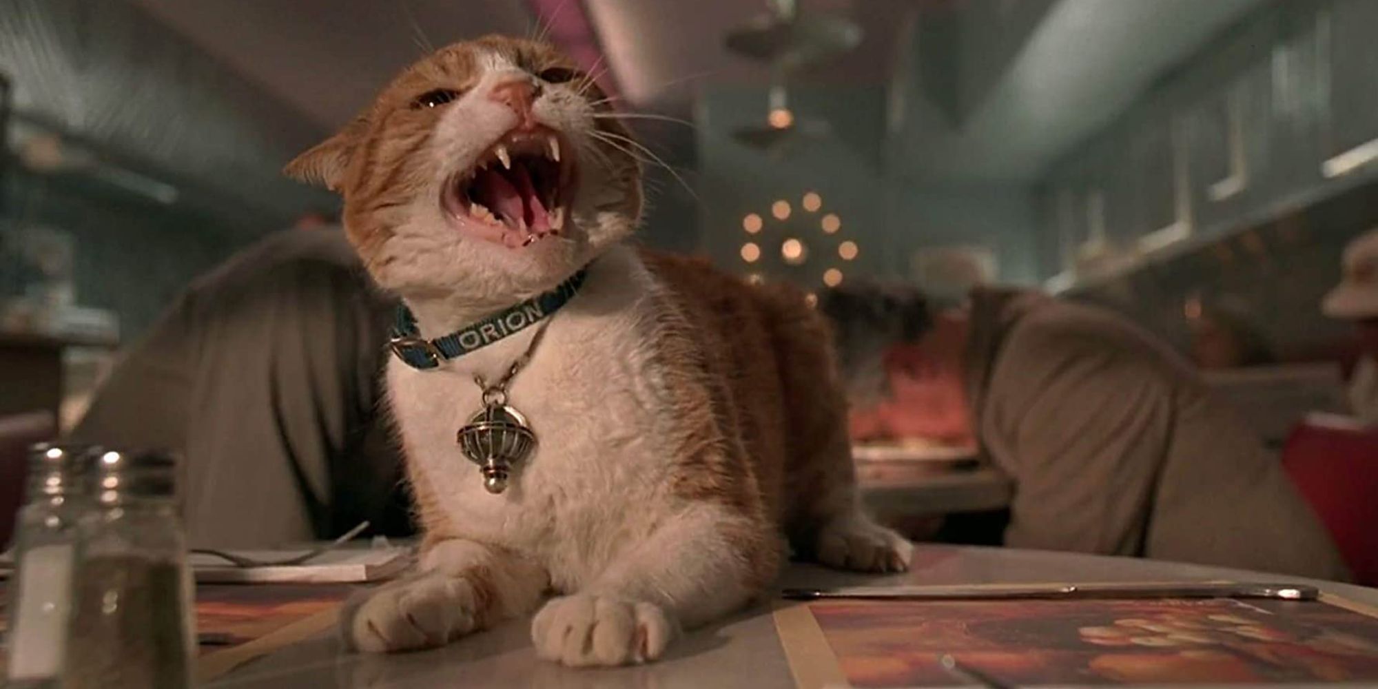 10 Best Movie Cats, From Goose to Mrs. Norris