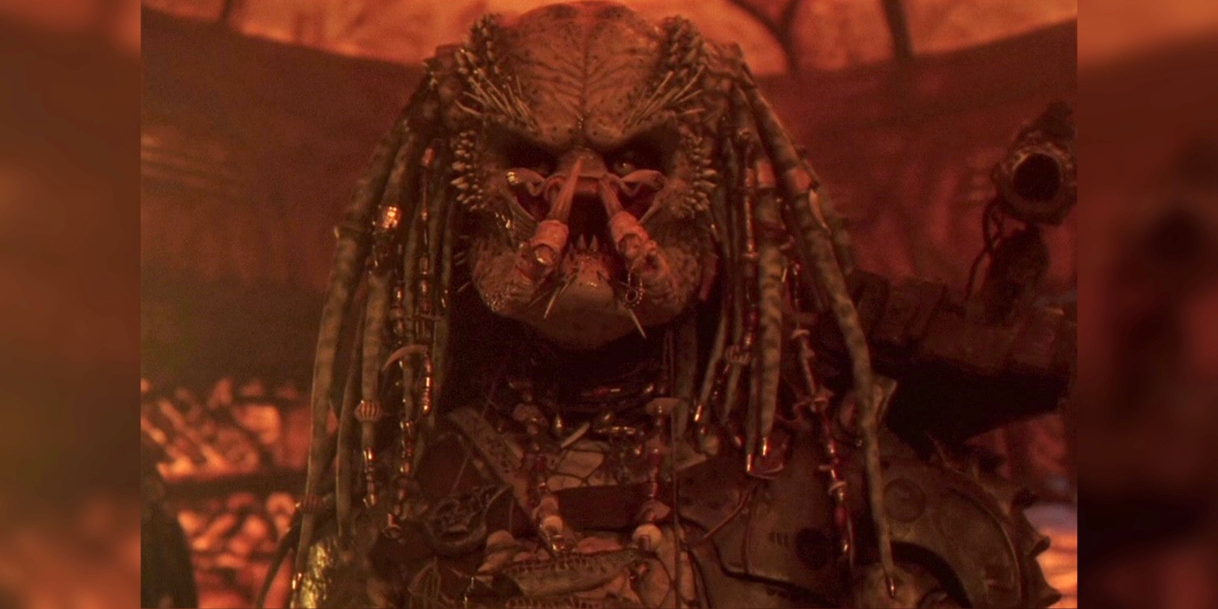 From 'Predator' to 'Prey': Ranking Every Variant of The Predator