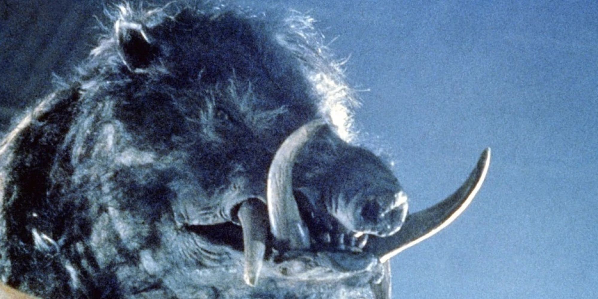 10 Killer Animal Movies That Will Have You Side-Eyeing Your Pets