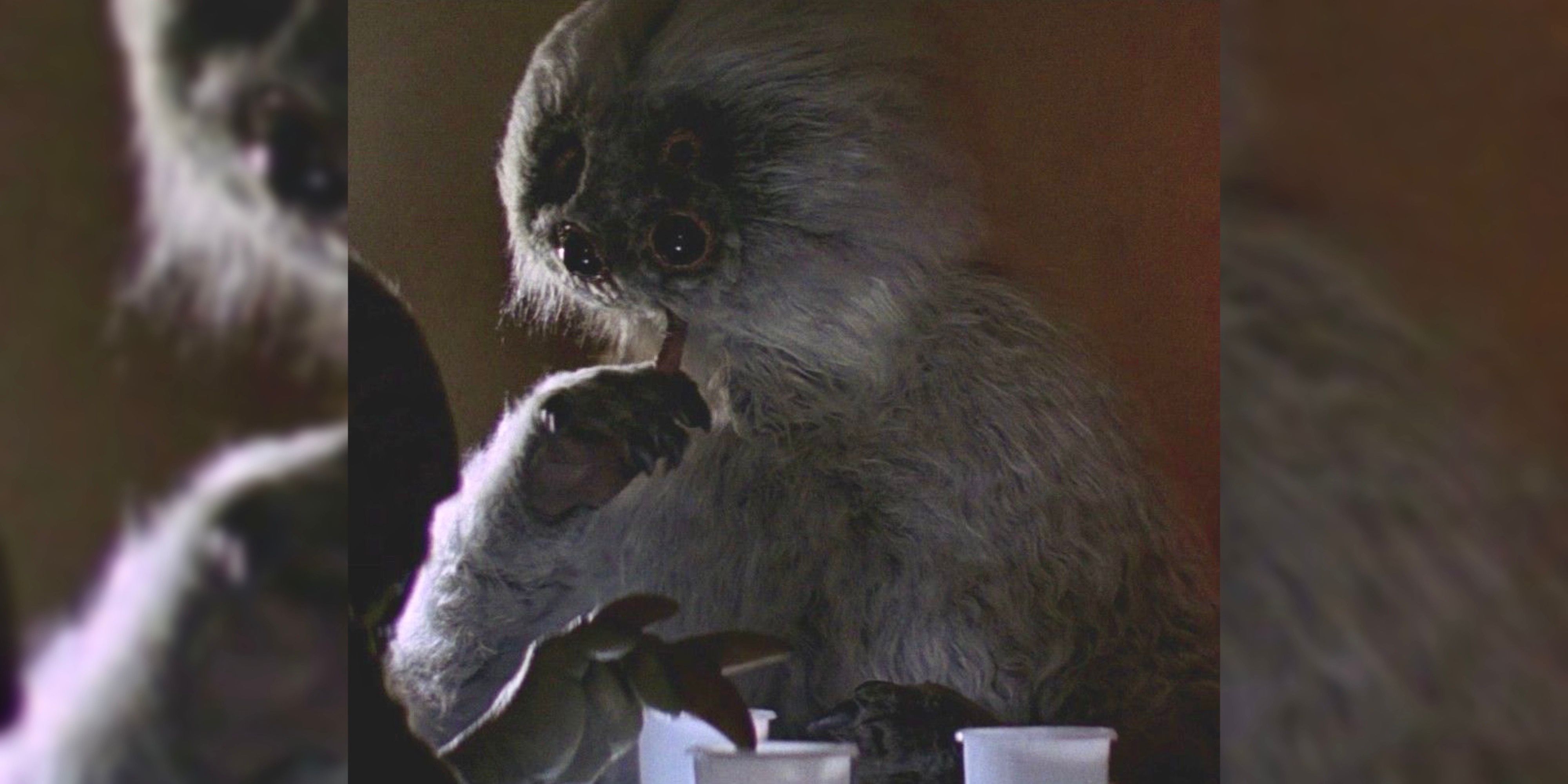 'Star Wars': 10 Best Cantina Aliens