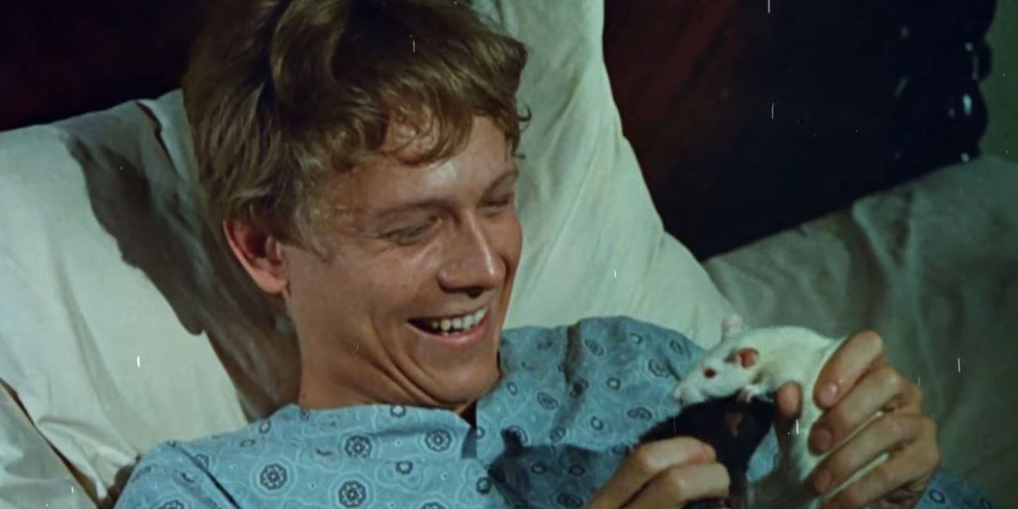 10 Killer Animal Movies That Will Have You Side-Eyeing Your Pets