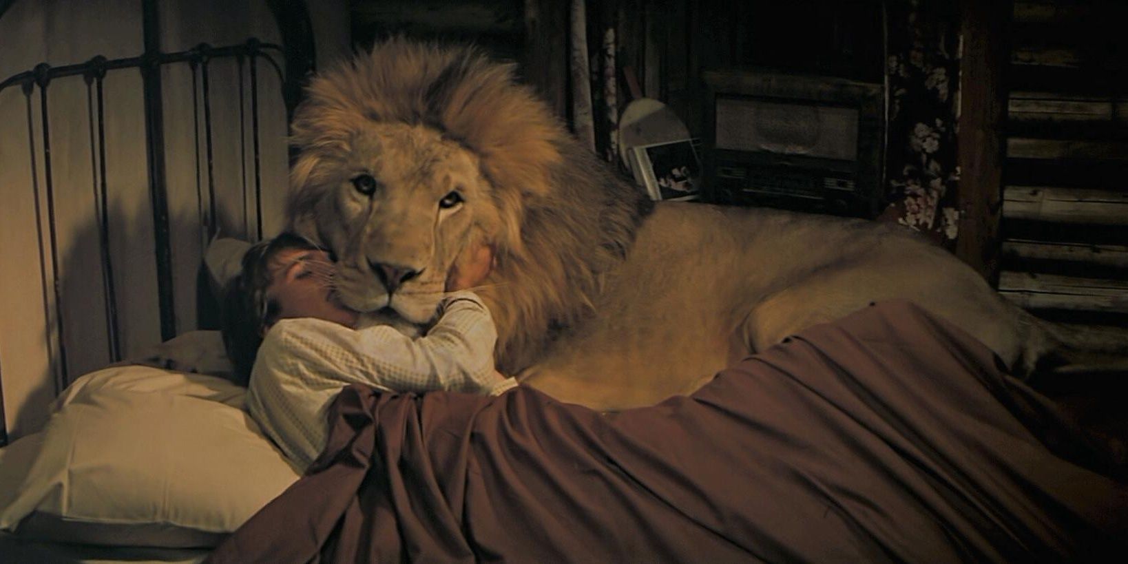 10 Best Creature Survival Movies to Prepare for 'Beast'