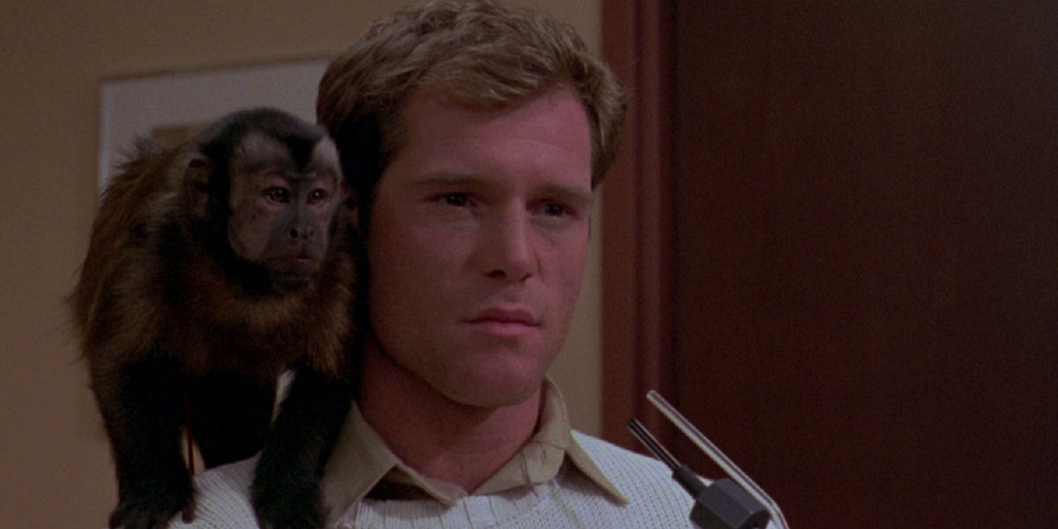 10 Horror Movies Where Nature Is The True Terror