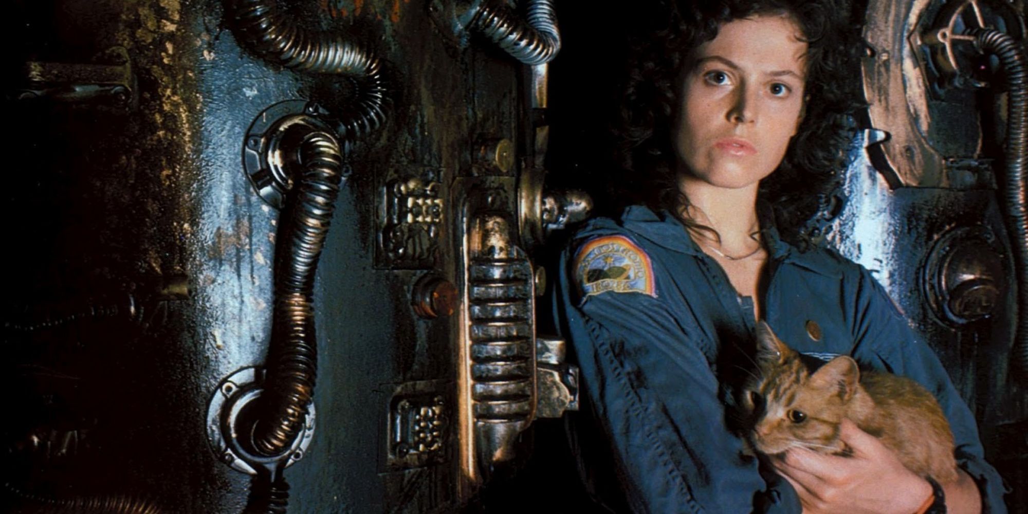 10 Most Iconic Horror Movies of All Time, According to Rotten Tomatoes