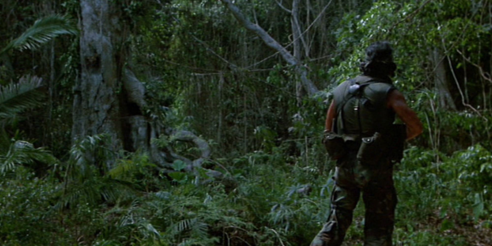 10 Things that Make 'Predator' the Perfect Slasher Horror Movie for ...