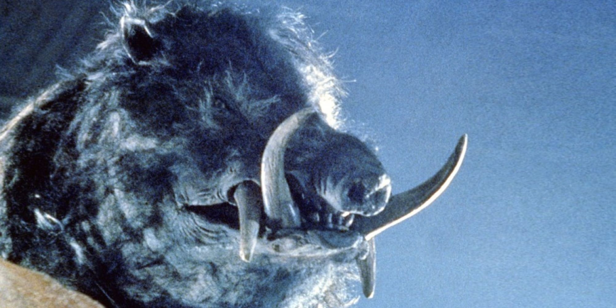 Underrated Gems From Down Under: 10 Australian Movies That Deserve Your ...