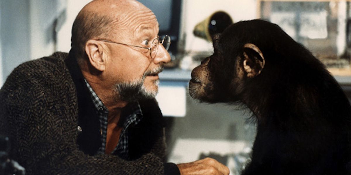 Horror's Most Loyal Animal Sidekicks: From Jones to D'Artagnan