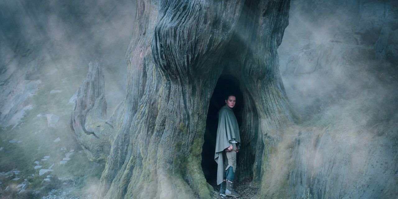 Tales of the Jedi: What Is the Tree in the Jedi Temple?