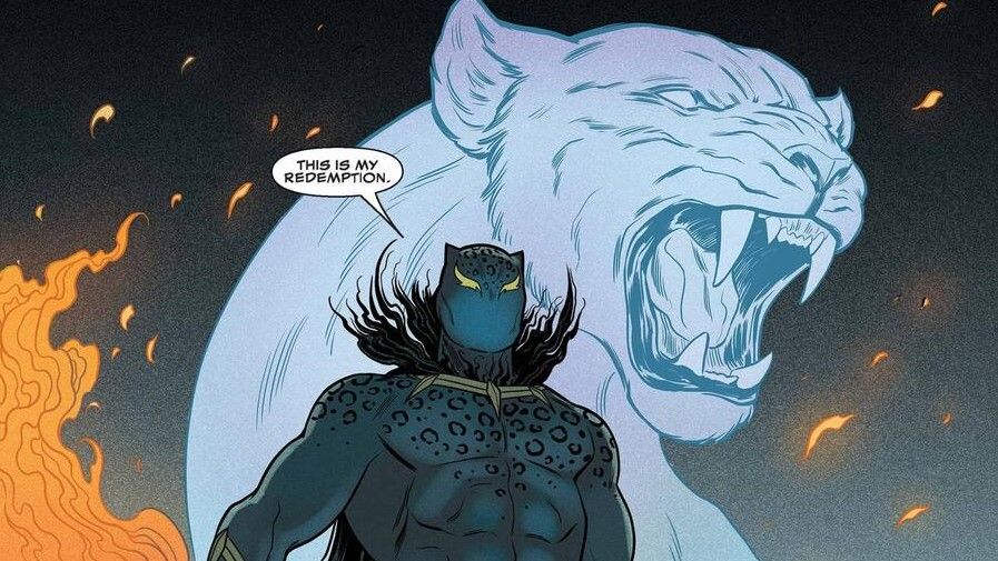 Who Has Been a Black Panther Besides T'Challa in The Comics?