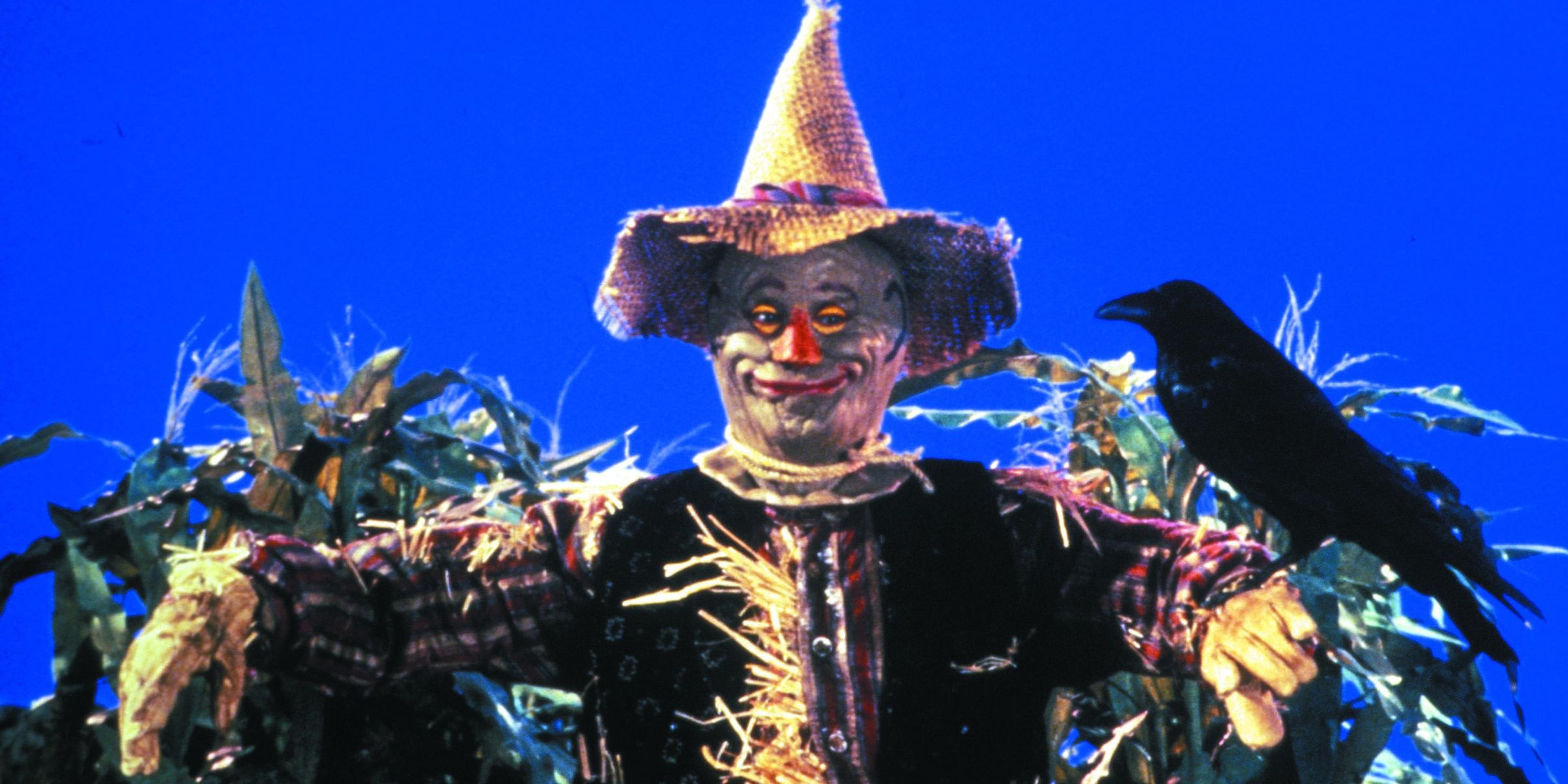 10 Movies Based On Famous Authors Every Writer Should Watch