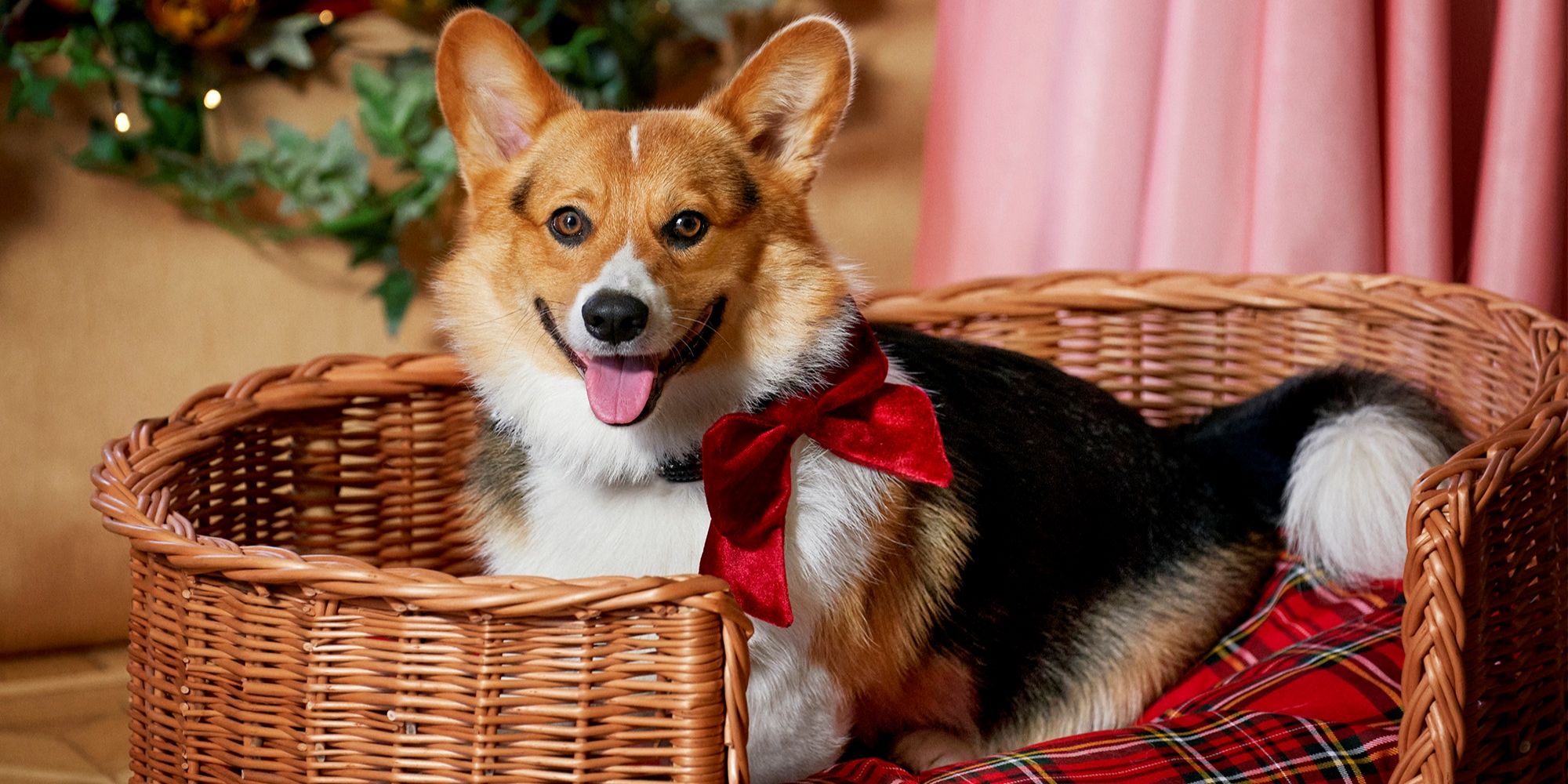 Royal Holidays: 10 Christmas Princess Movies & Where To Stream Them