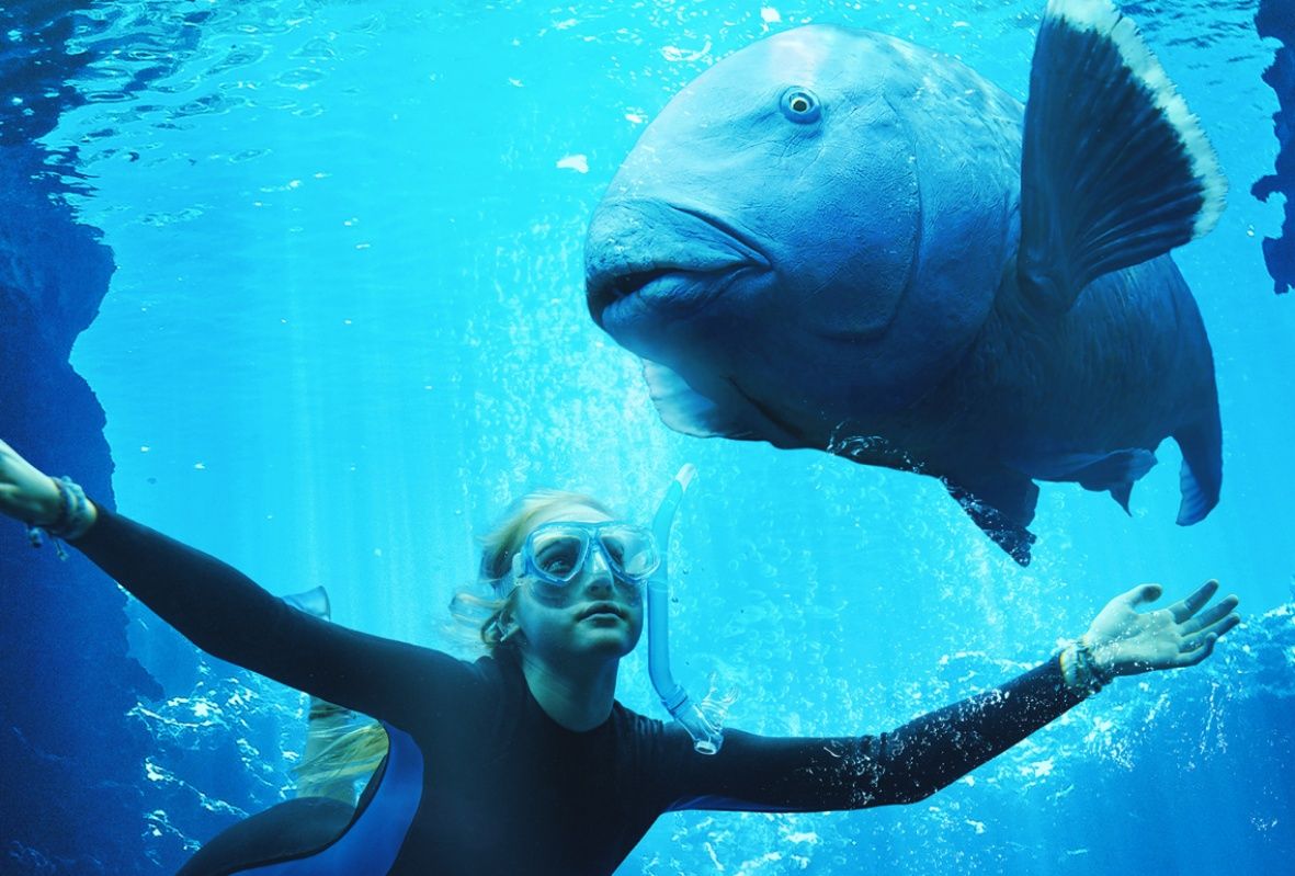 Mia Wasikowska & Eric Bana on 'Blueback' and Working with a Fish Puppet