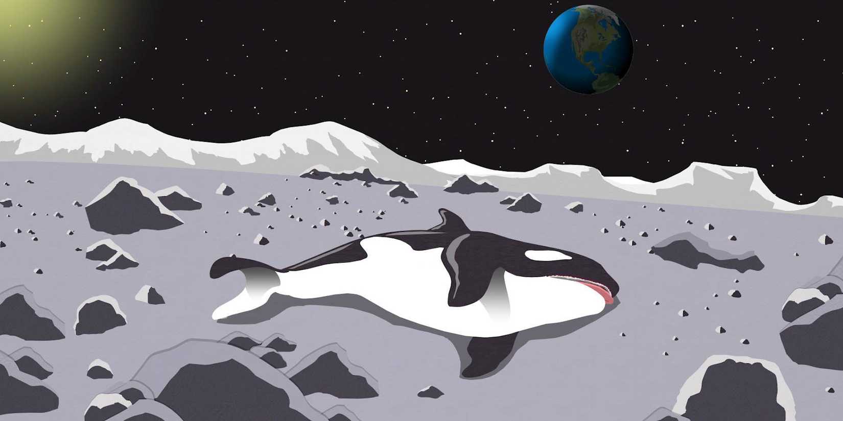 10 Saddest 'South Park' Episodes of All Time, Ranked