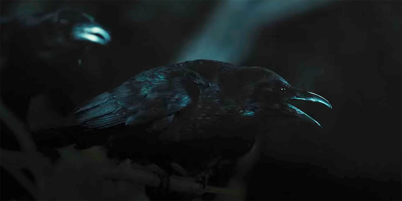 'Beef': What Do the Crows Mean in the Netflix Series?