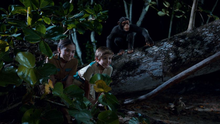 'Jane': Cast, Story, Release Date, and Everything We Know So Far