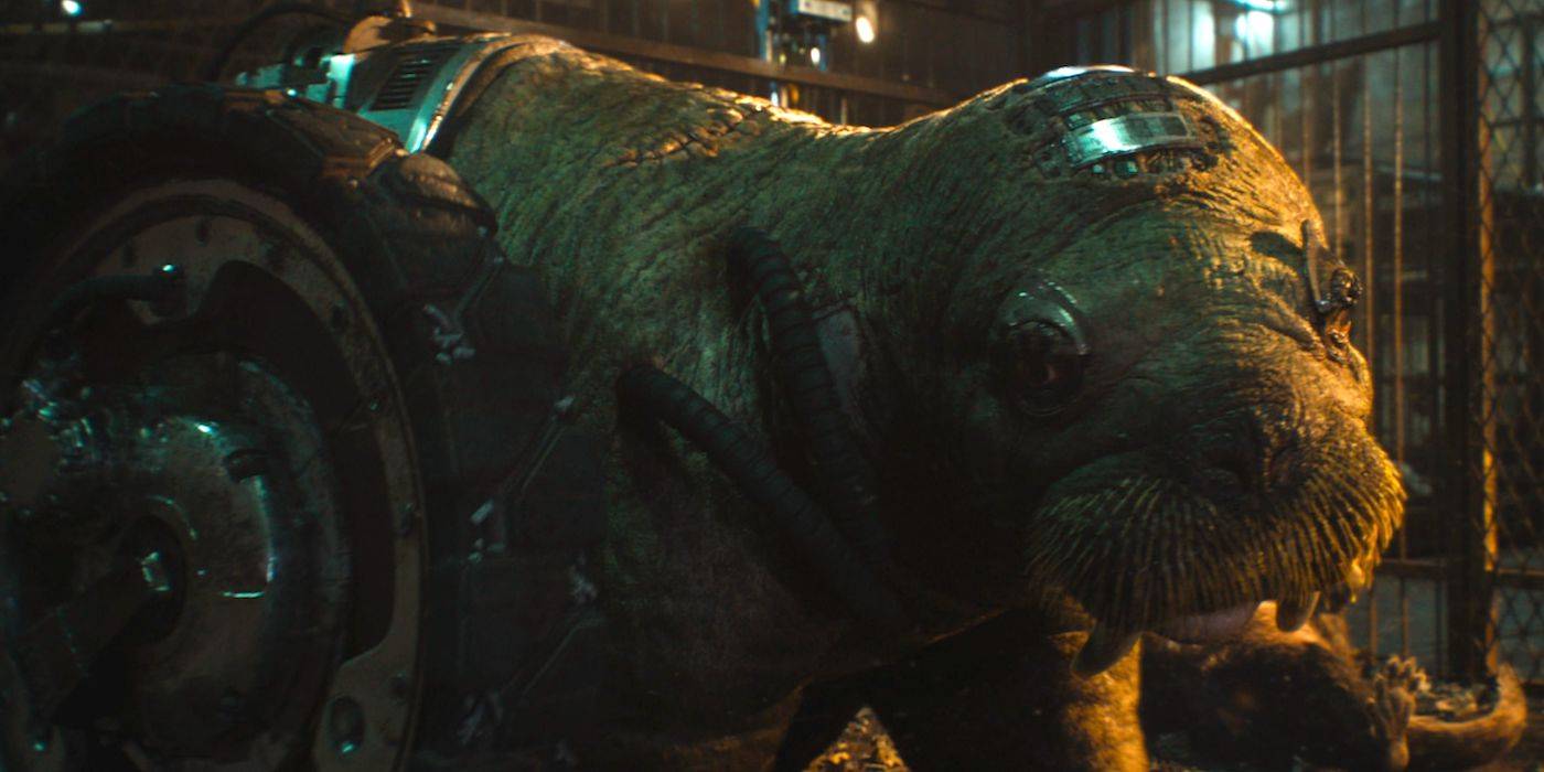 Question about a character in GOTG Vol. 3 : r/marvelstudios