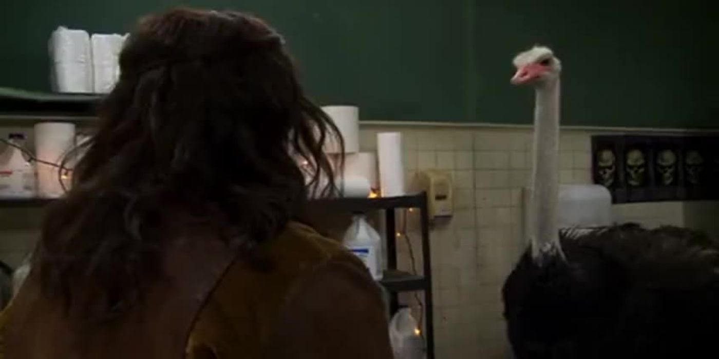 'It's Always Sunny In Philadelphia': The 10 Best Quotes, Ranked