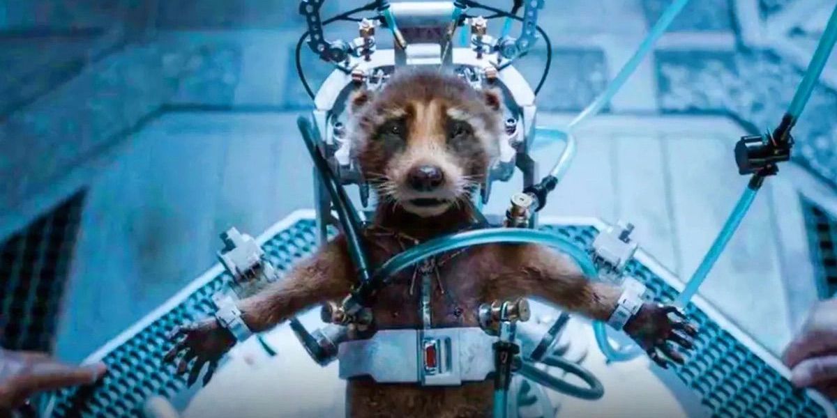 Bradley Cooper Is Great as Rocket, but Let’s Hear It for Sean Gunn Bradley Cooper Is Great as Rocket, but Let’s Hear It for Sean Gunn