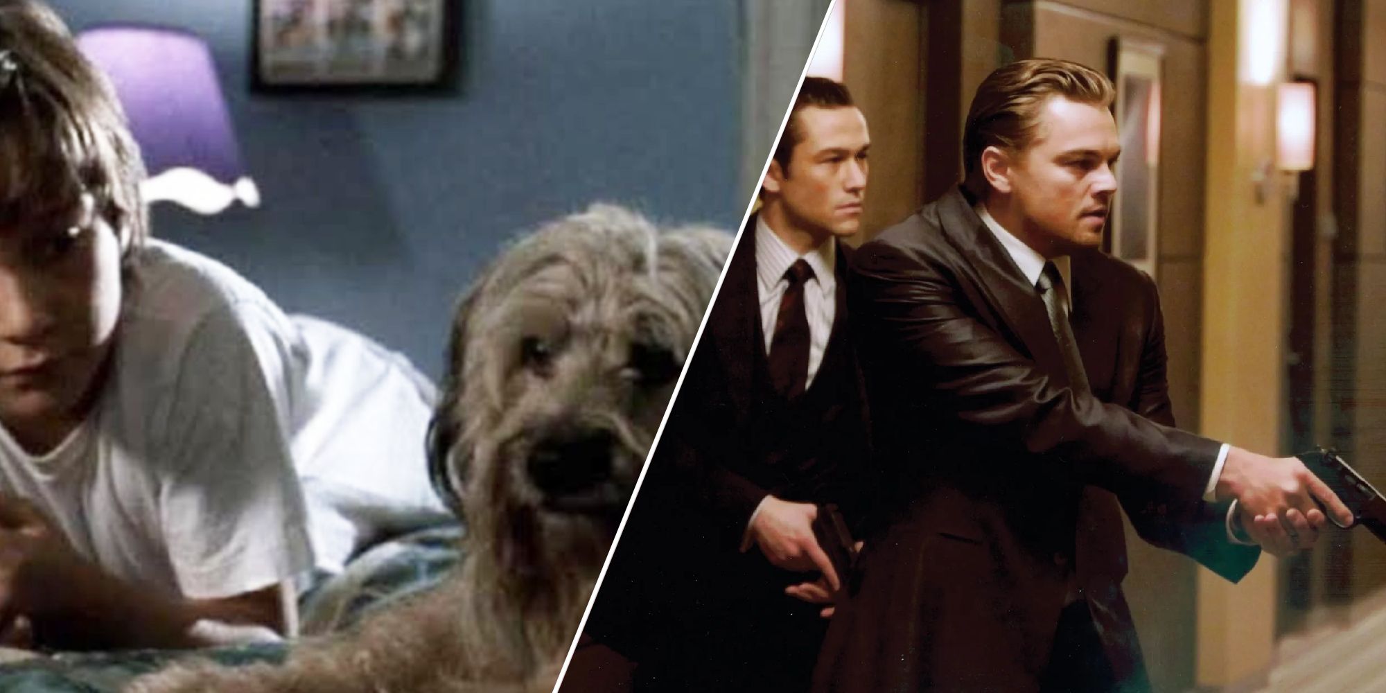 10 Pairs of Movies That Surprisingly Share a Cinematographer