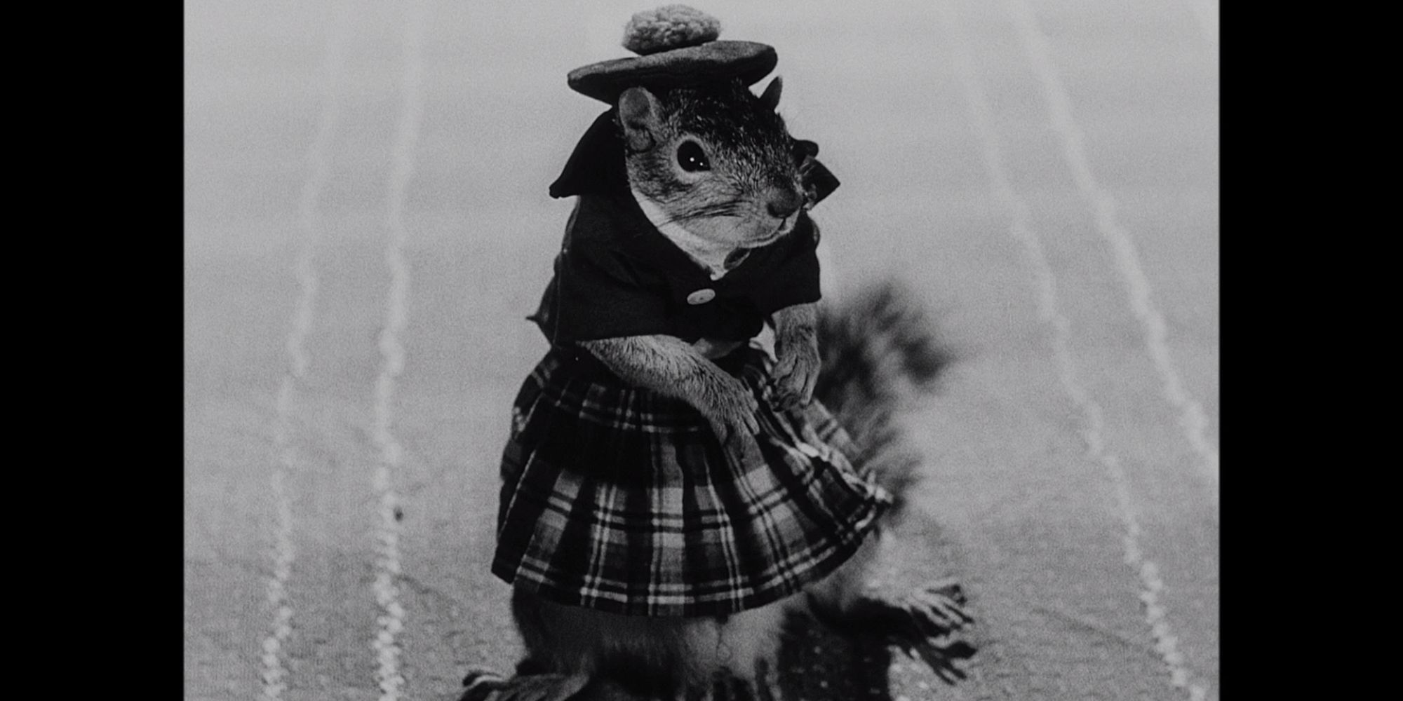 10 Best George Pal movies, According to IMDb