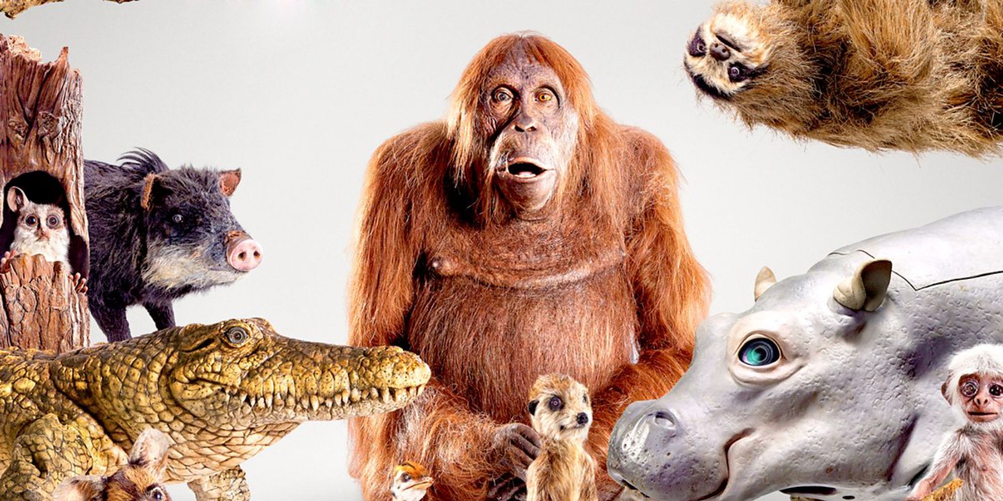 10 Best David Tennant Shows, Ranked According to Rotten Tomatoes