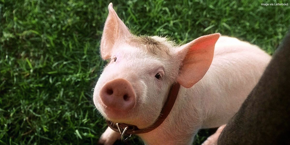 10 Best Talking Animals in Live-Action Movies, Ranked