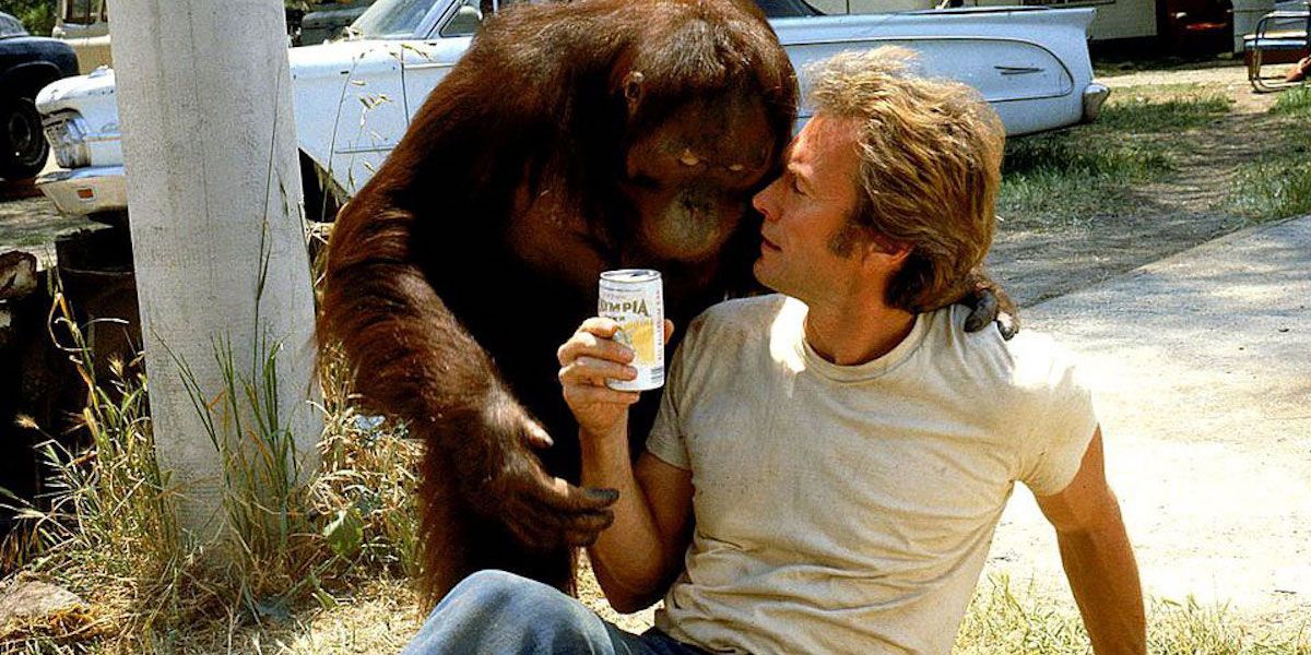 Clint Eastwood Struck Box-Office Gold Playing Opposite an Orangutan