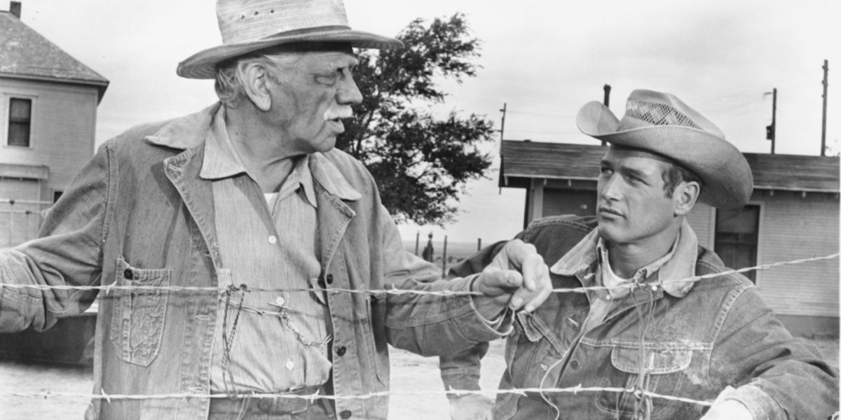 Paul Newman's Most Troubling Performance Was in This 1960s Classic